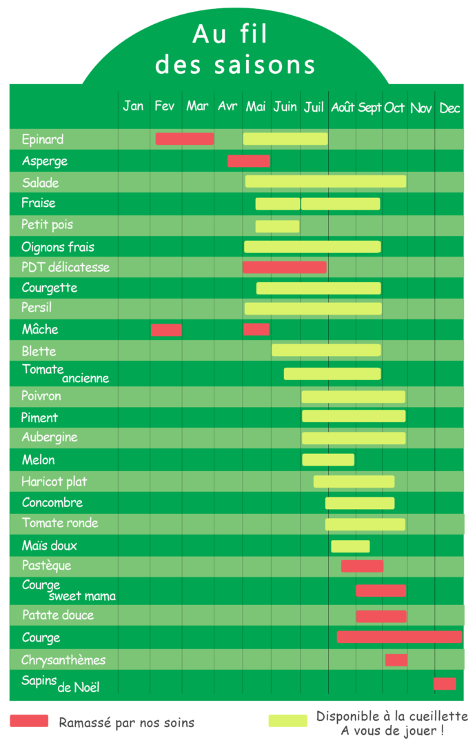 Cueillette fruits et légume Lyon - Aux jardins des saisons